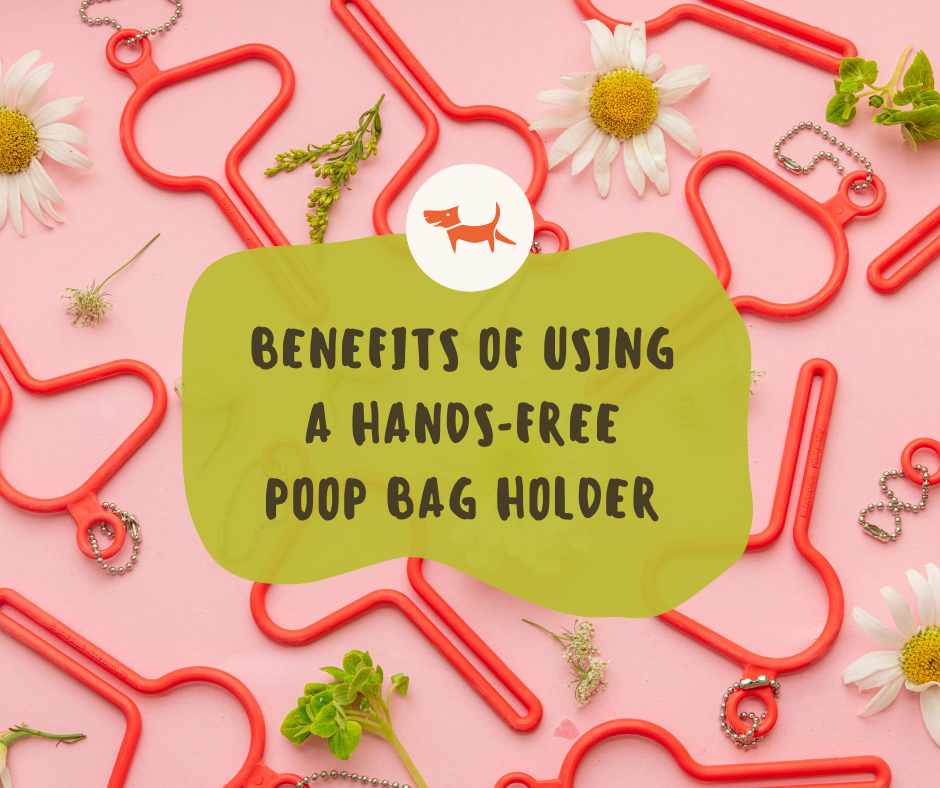 Leash Management Is Easier With A Poop Bag Holder: A Game Changer for ...